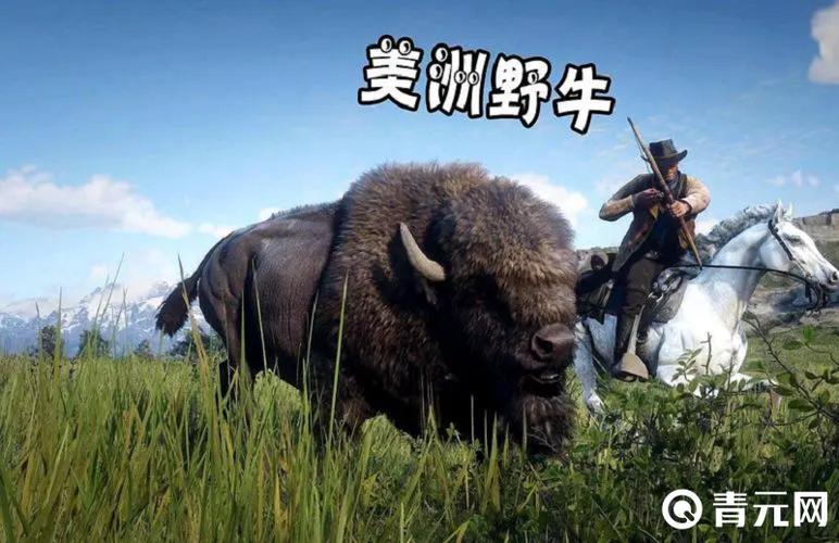 荒野大镖客2传说野牛皮图标