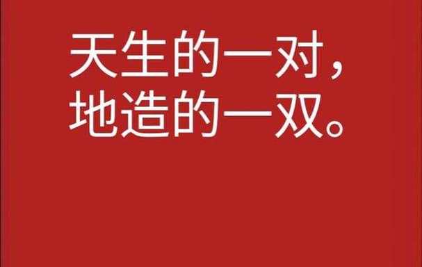 说一对男女好般配的词
