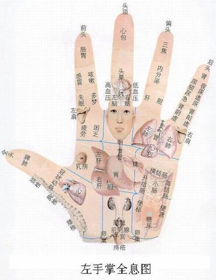 阴阳掌口诀图标
