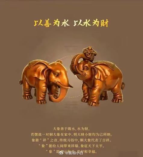 象的寓意和象征风水图标