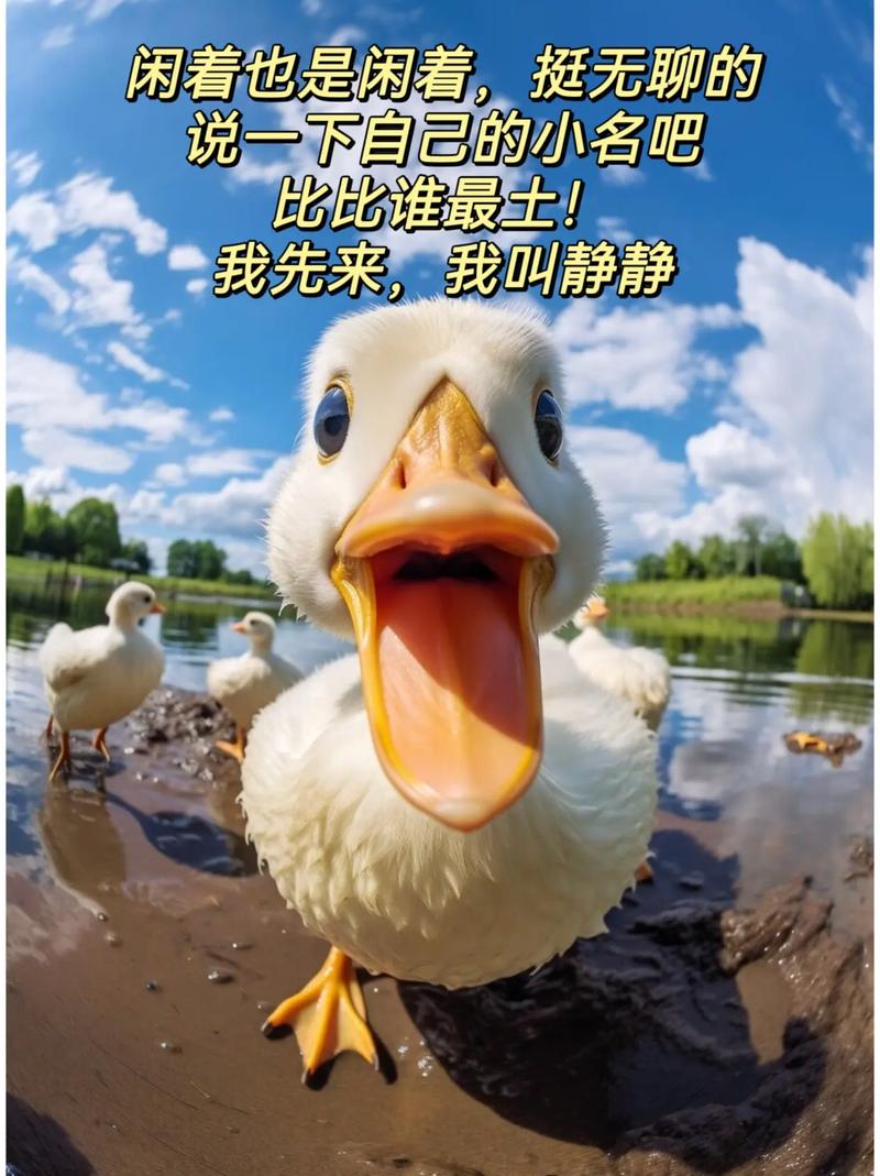 今小闲真的假的图标