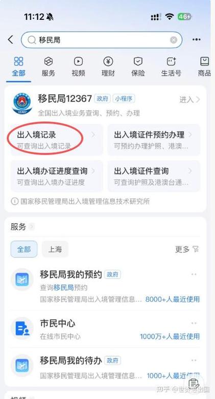 国家移民管理局出入境记录查询结果图标