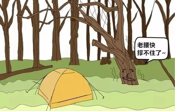 摇曳露营同款