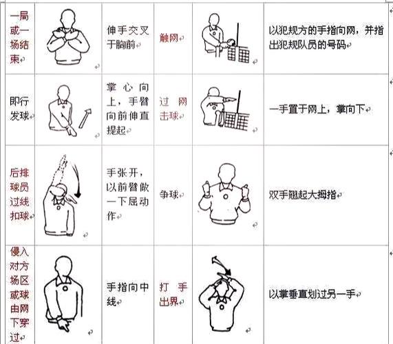 排球裁判规则图标