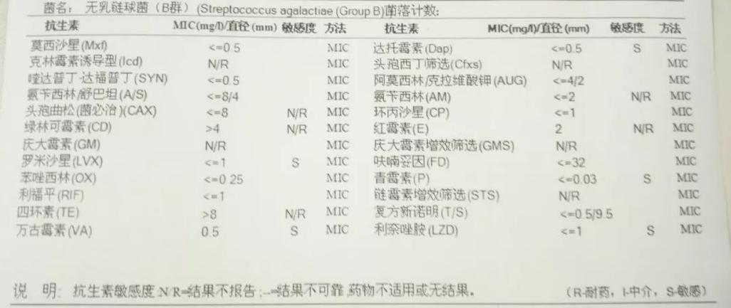 b链检查结果怎么看截图
