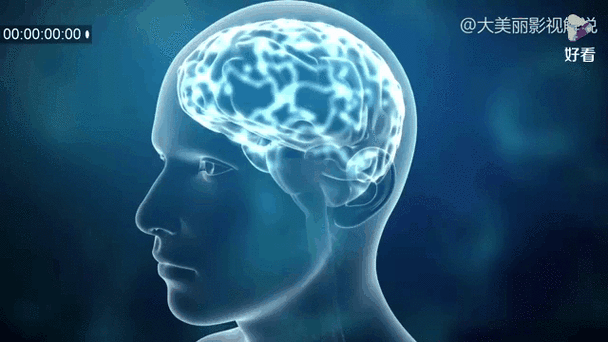 正常人的大脑开发了多少图标