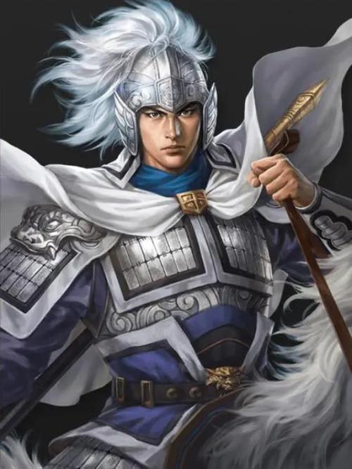 三国志战略赵云图标