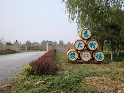 意大利农场截图
