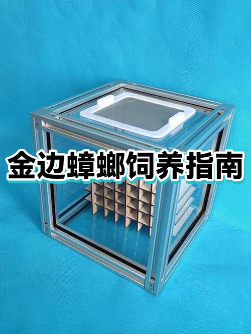 蟑螂好养吗图标