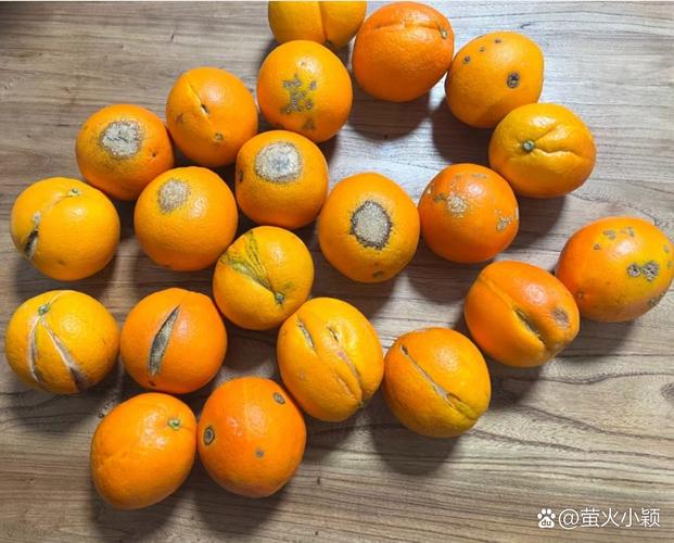 我的橙子有没有v到截图