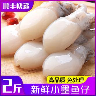 墨鱼仔长什么样子图标