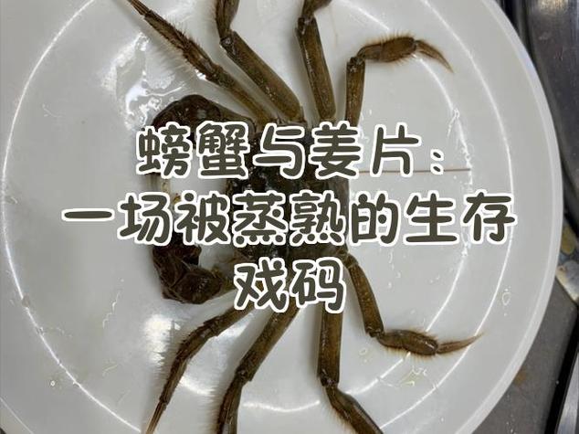 螃蟹丢失的寻找方法图标