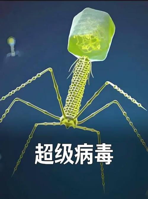 我国第一大电脑病毒
