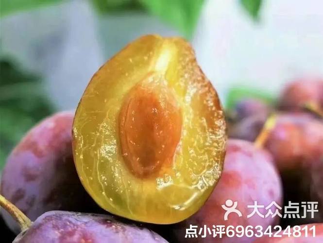 西梅app好不好图标