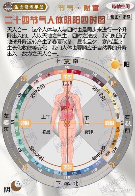 八字阴阳平衡的人截图