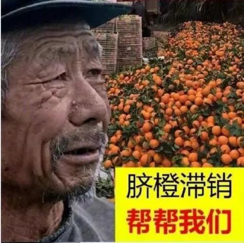 网红帮帮靠谱吗图标