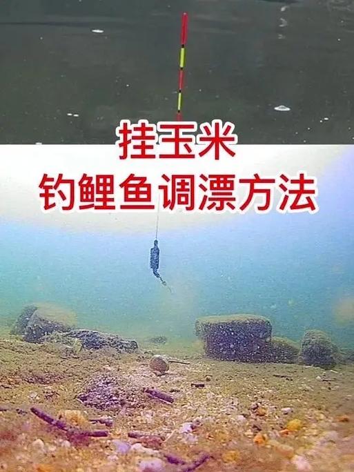 玉米打窝钓鲤鱼要多久图标