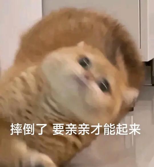 异性发猫表情暗示什么截图