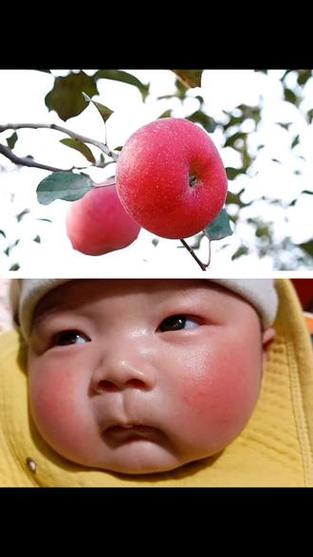 红红的苹果像脸蛋截图