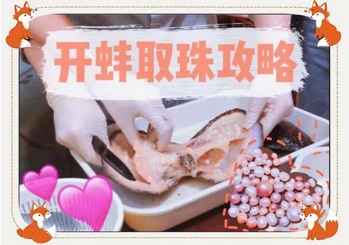 怎么挑选蚌开出好珍珠截图