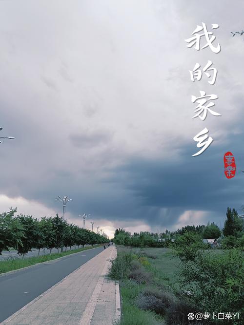 溜溜哥哪里人图标