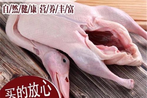 精肉鸭是什么鸭缩略图