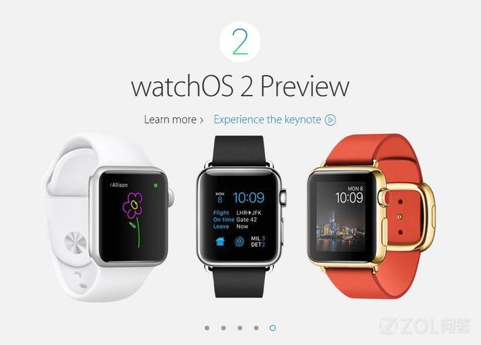apple watch激活锁图标