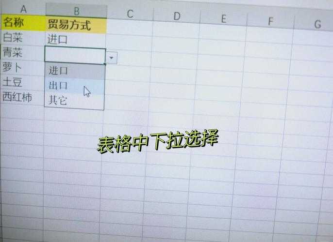 怎么去掉表格下拉选项图标