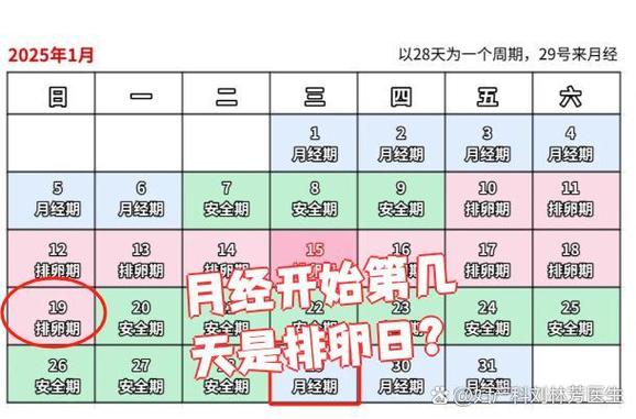 排卵期和排卵日图标