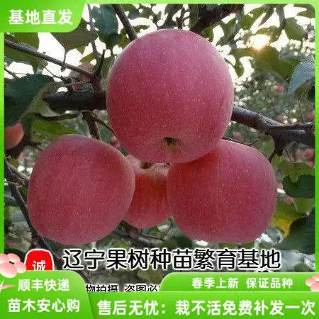 苹果平板充电一直是红色截图