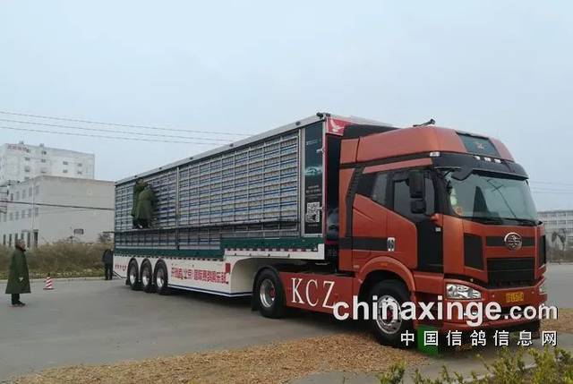 赛鸽出行图标