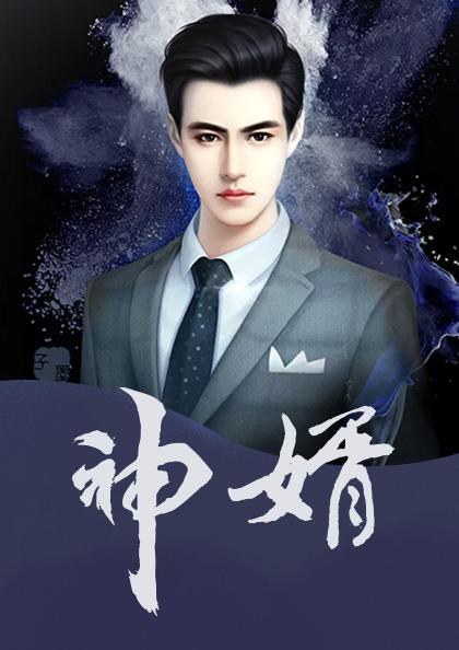 小说,神婿图标