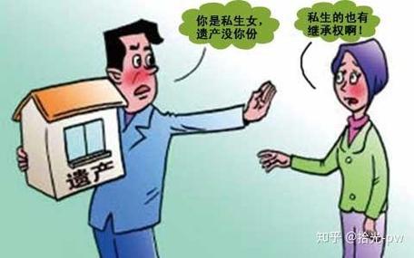 女婿有继承权吗图标