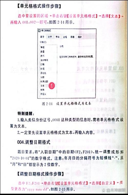 计算机二级wps怎么自学图标