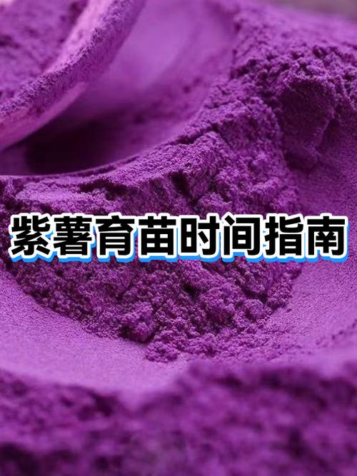 天刀紫薯在哪买图标