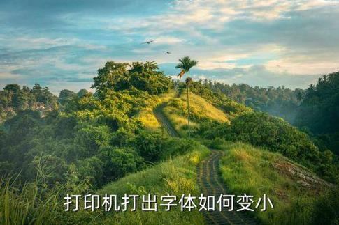 打印机字体突然变小了截图