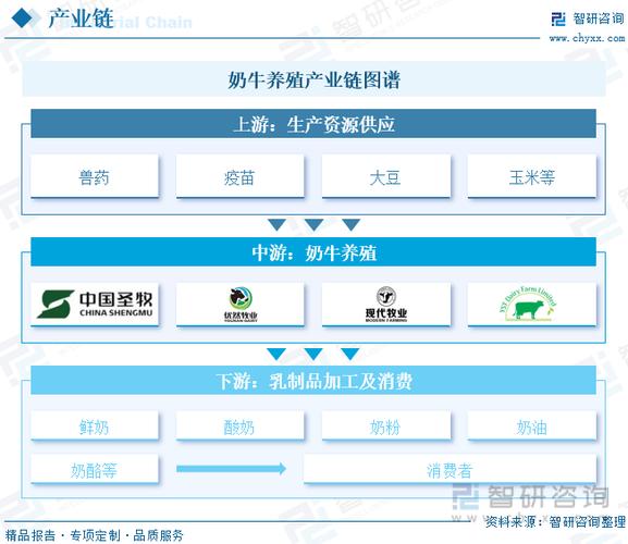 养殖奶牛的风险和利润图标