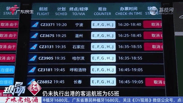 实时查询航班动态图标