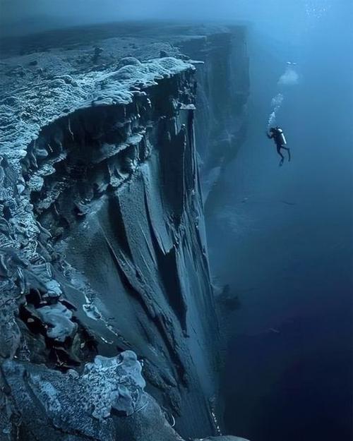 海底深渊图片截图