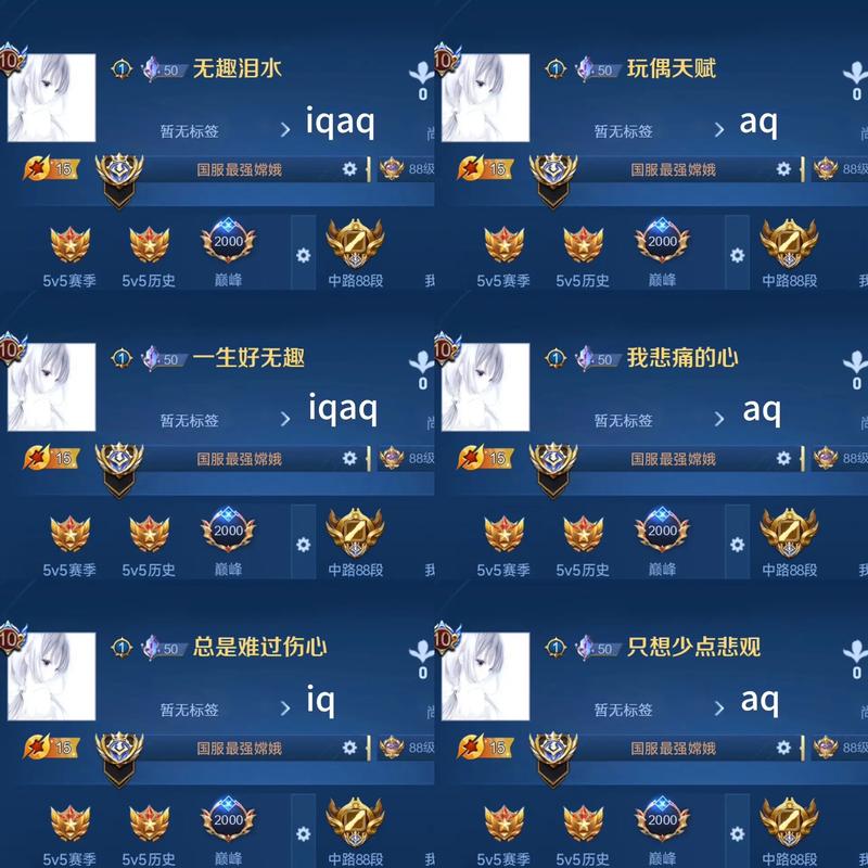 王者荣耀名字重复修改器图标