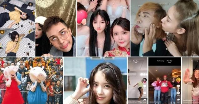 捧网红的公司叫什么图标