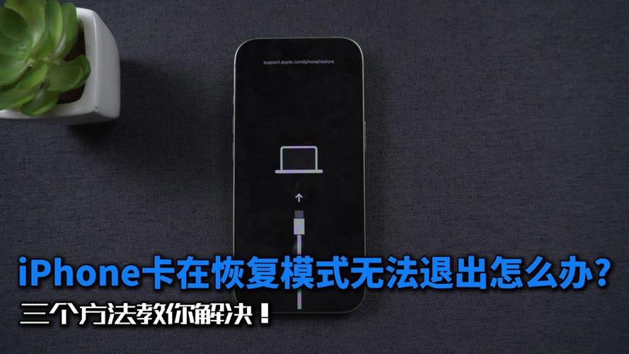 苹果商城进不去图标