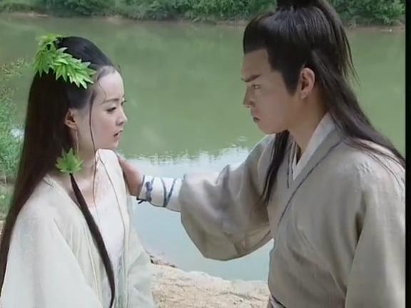 武林百合转