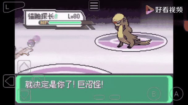 口袋妖怪究极绿宝石二图标