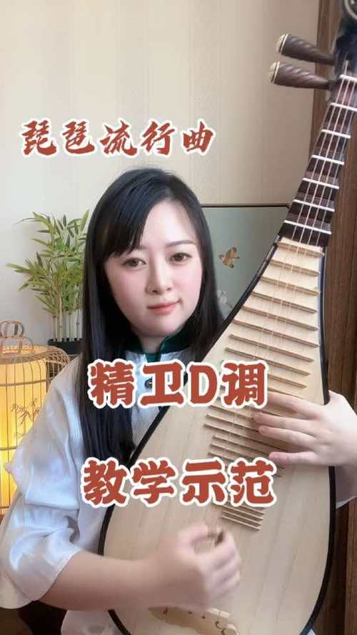 琵琶名曲十大名曲截图
