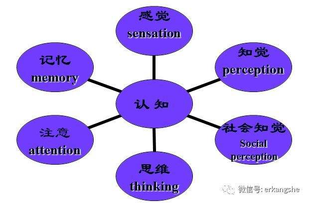 perception记忆图标