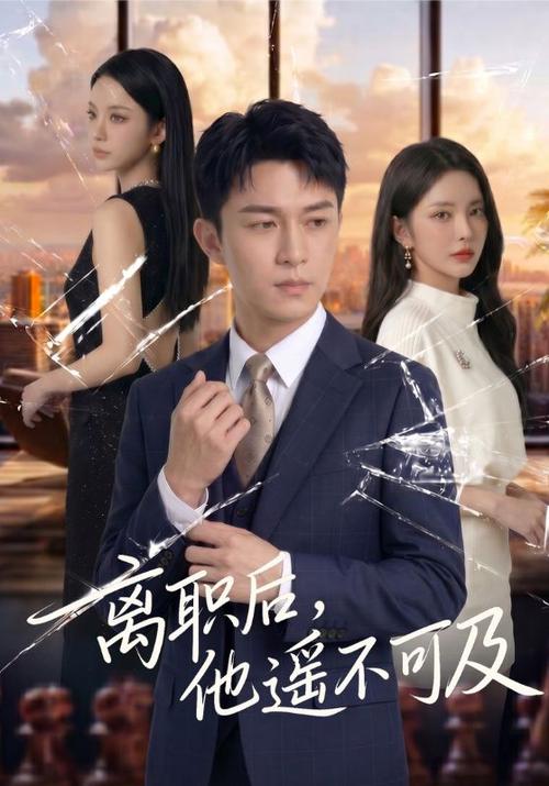 《离职后他遥不可及》截图