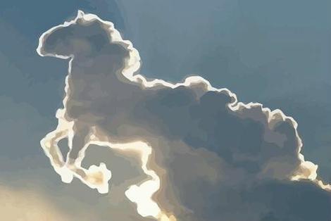 神马比喻什么人图标