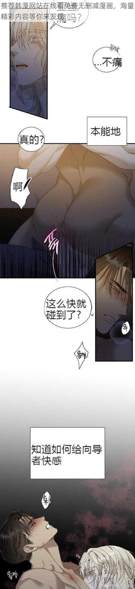 韩漫破解VIP版图标