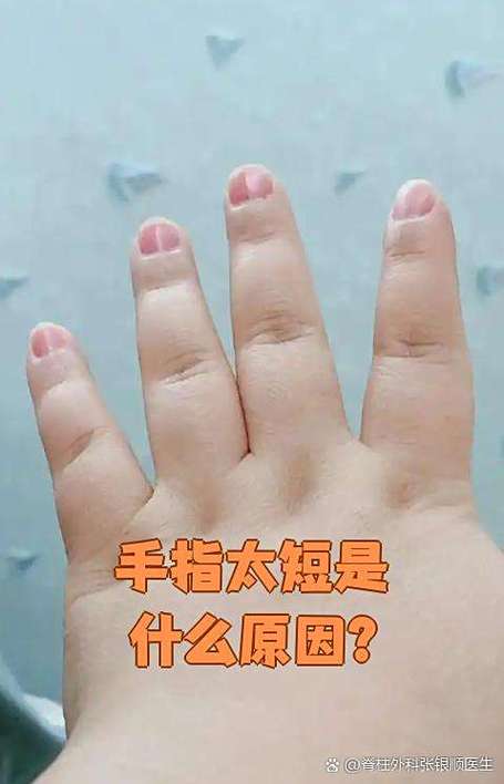 个子高手指短截图